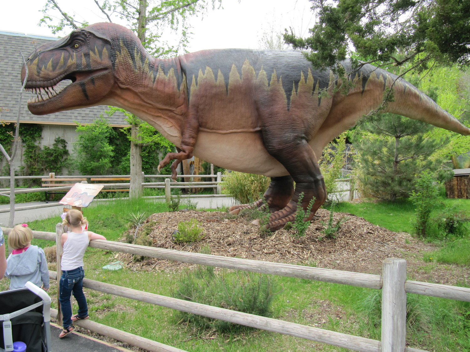 Dinosaurs at Hogle Zoo